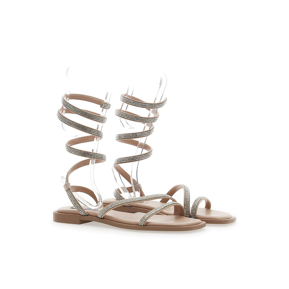 Woman Collections Steve Madden